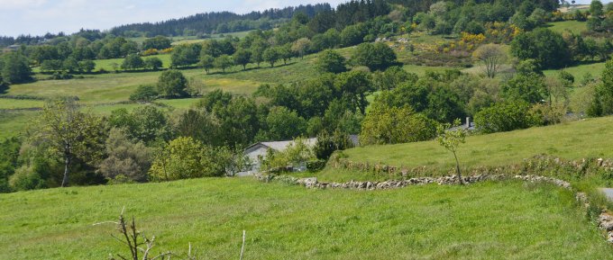 En Morgade – El Camino de Santiago a lo pijo- The posh way to Santiago.